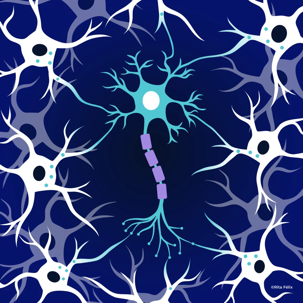 CNC Centro de Neurociências e Biologia Celular | CNC UC